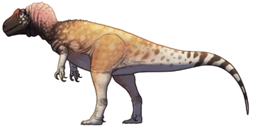 Discuss Everything About Dinopedia | Fandom