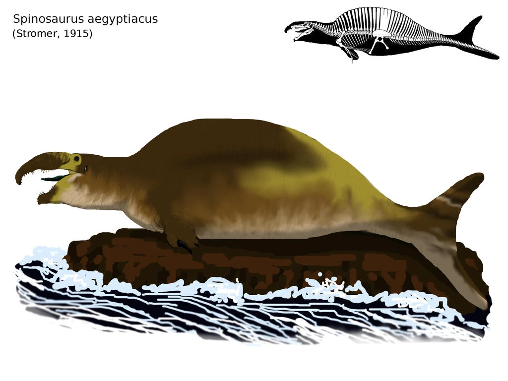 Looking for Stored Magnacetus | Fandom