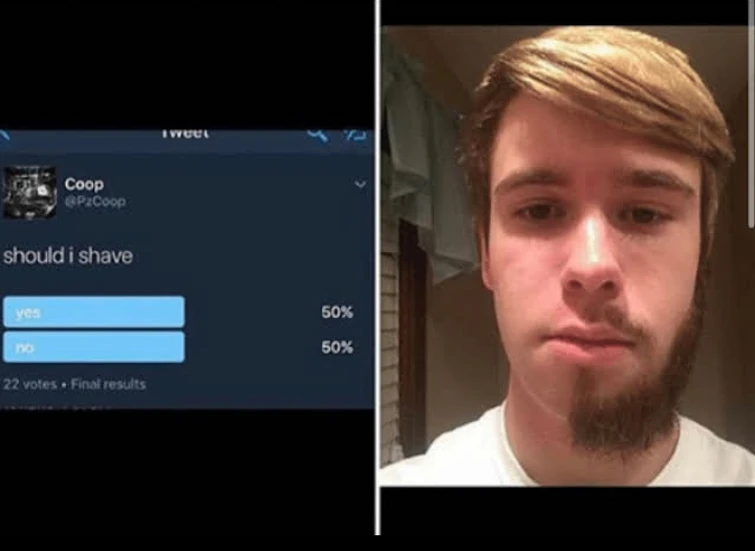 comment memes in comments | Fandom