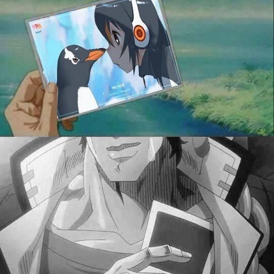 Remember Grape-Kun The Penguin Who Love His Waifu. | Fandom