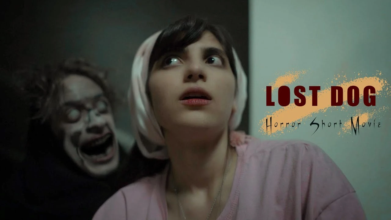 Lost Dog (daily horror #916) | Fandom