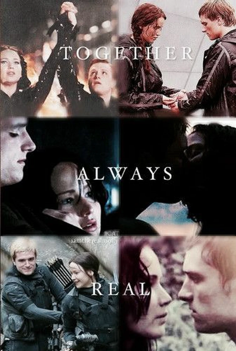 Discuss Everything About The Hunger Games Wiki | Fandom