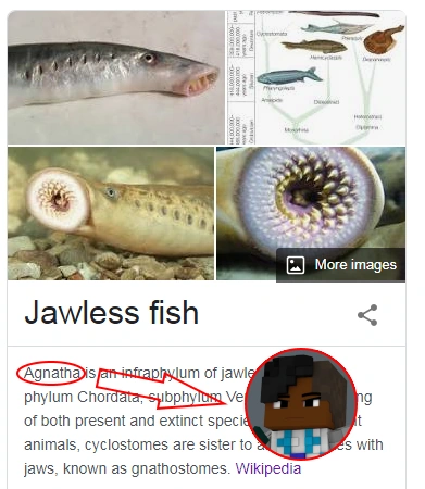 more name soundalikes | Fandom