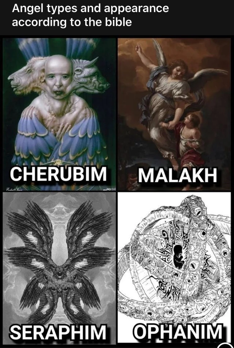 Angel Types. | Fandom