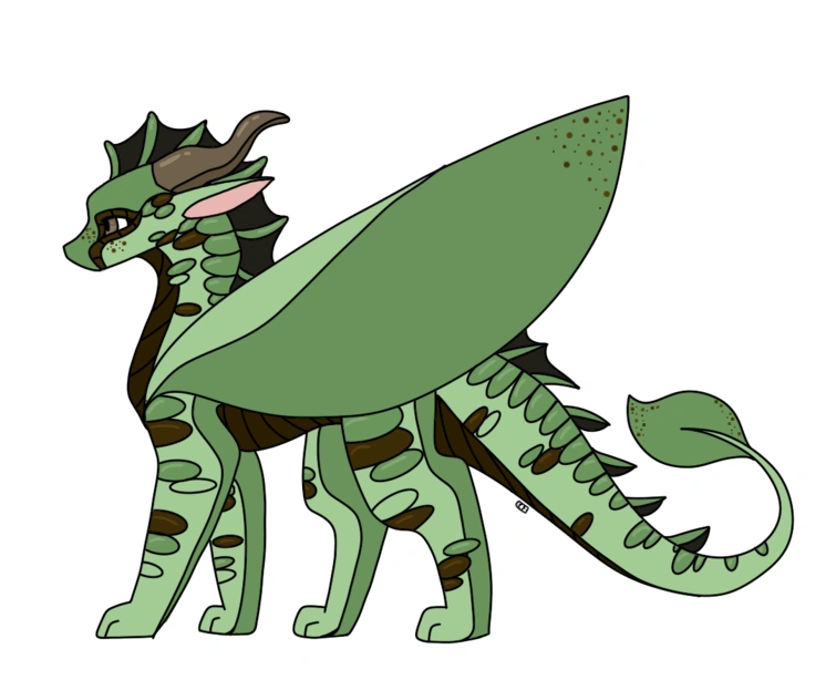 Name Adopt timeeee | Fandom