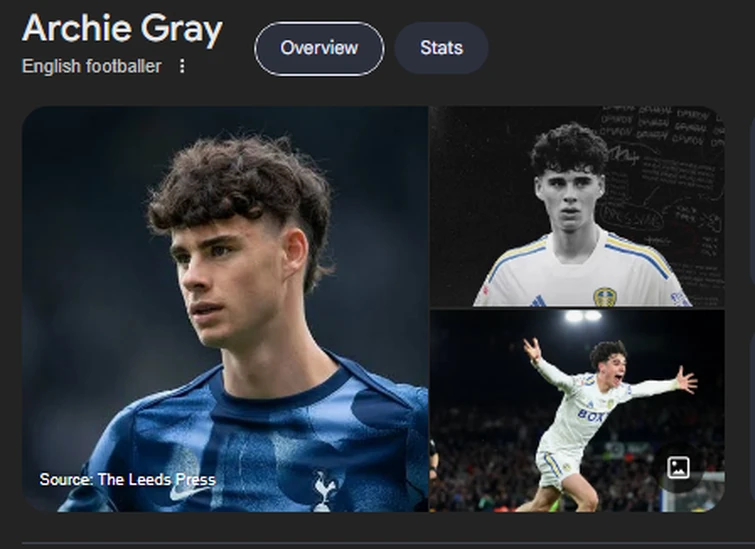 Gray or Grey | Fandom