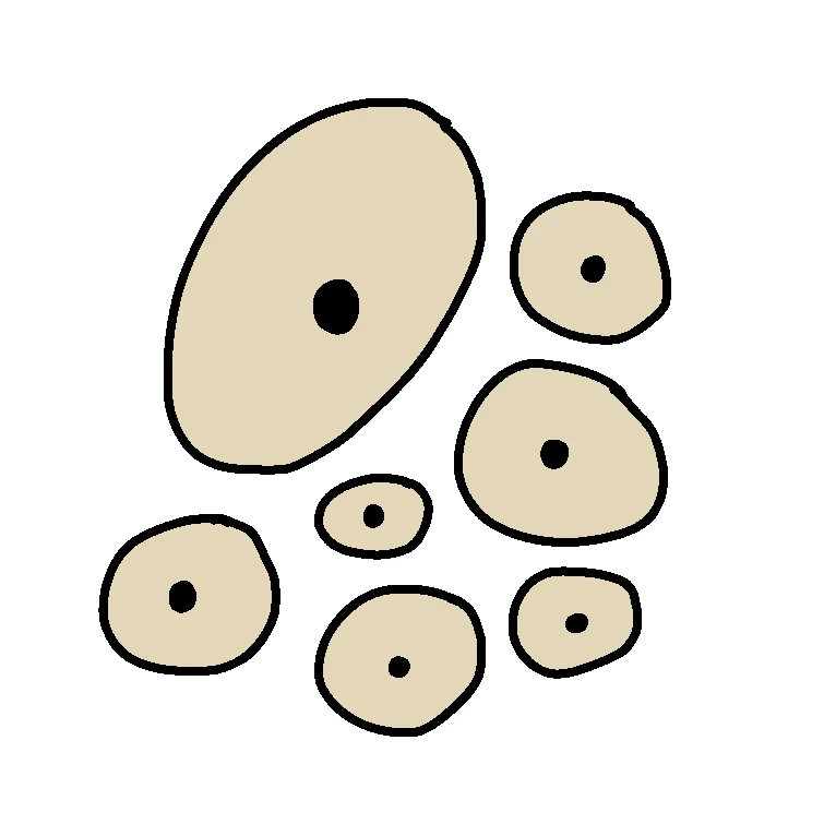 IR E Section Shadow Infection AU | Fandom