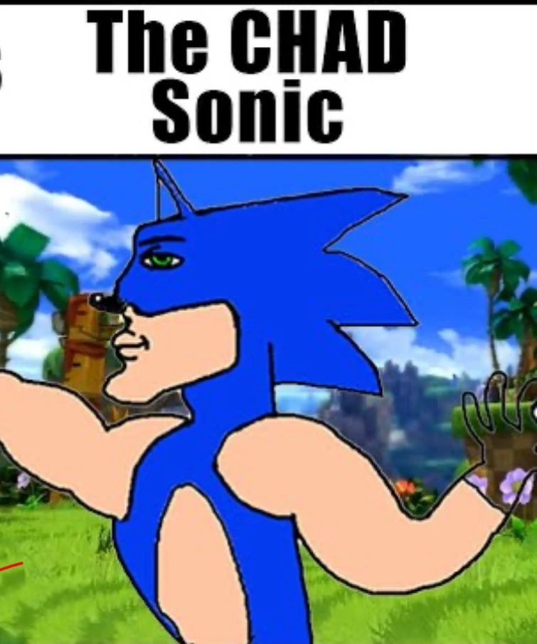 What a real life fight between Sonic and Shadow would look like | Fandom