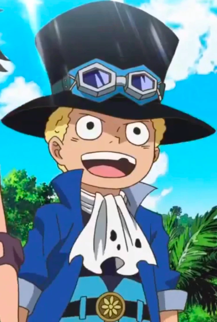(Ryusoken: Ryu no Ibuki) The Sabo Experience | Fandom