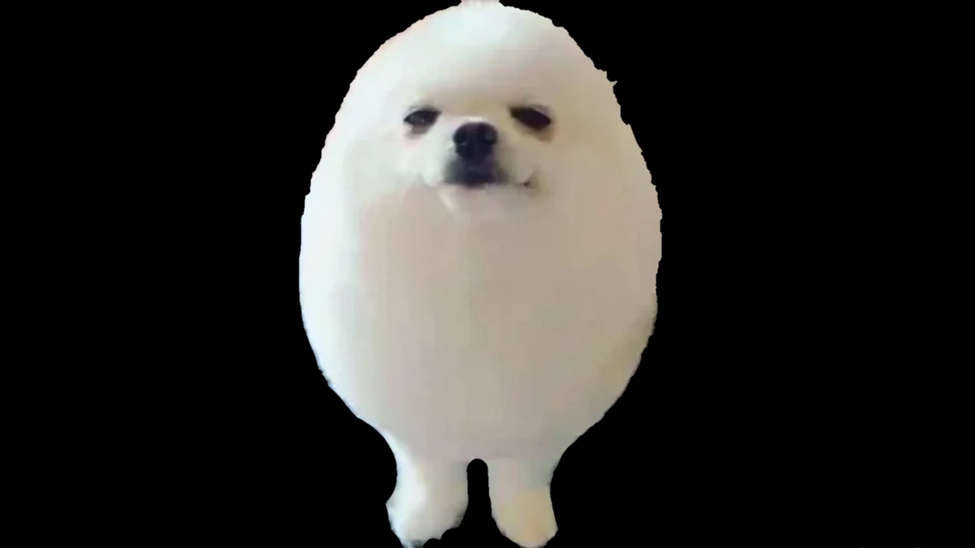 EggDog *shes my object character* | Fandom