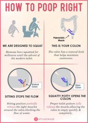 how to poop right | Fandom