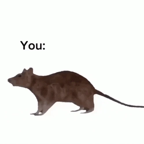 Good Morning | Fandom