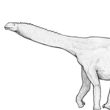 Discuss Everything About Dinopedia | Fandom