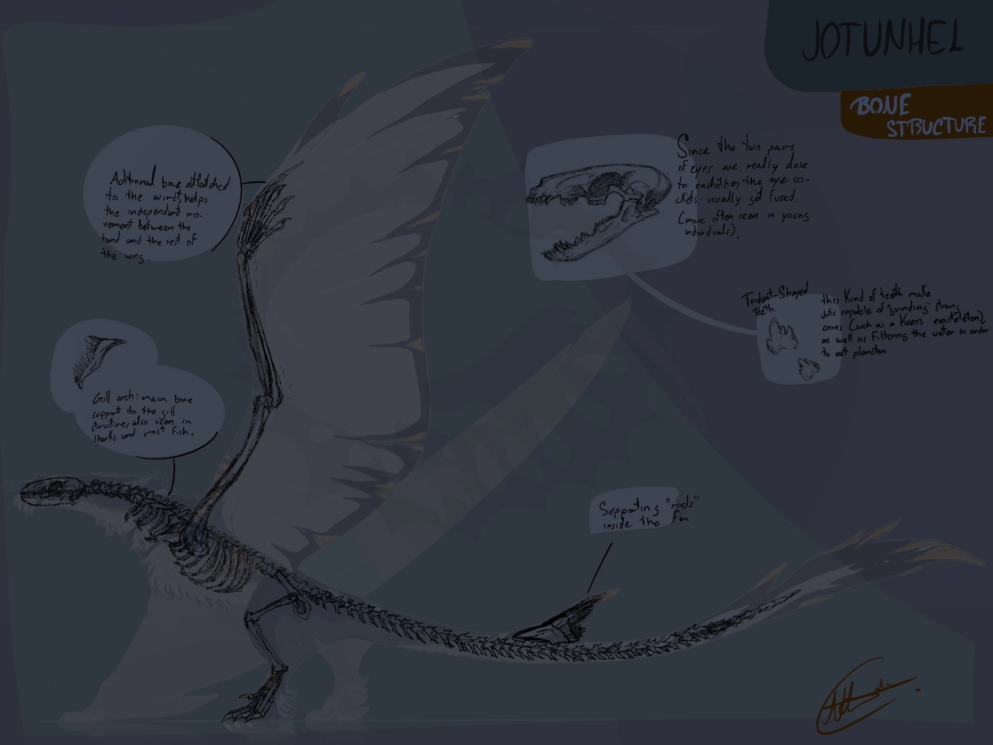 Anatomy study pt5 - Jotunhel | Fandom