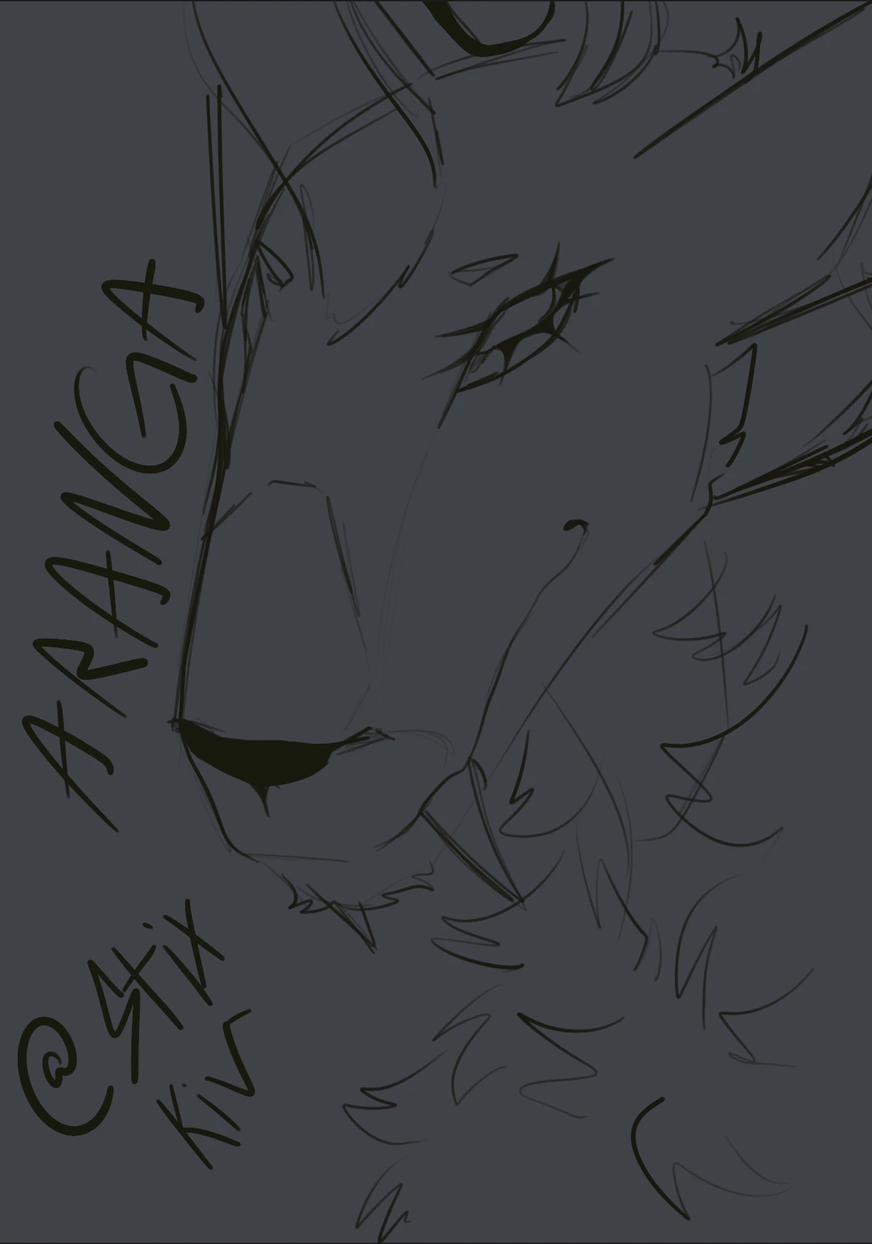 Drawing an aranga | Fandom