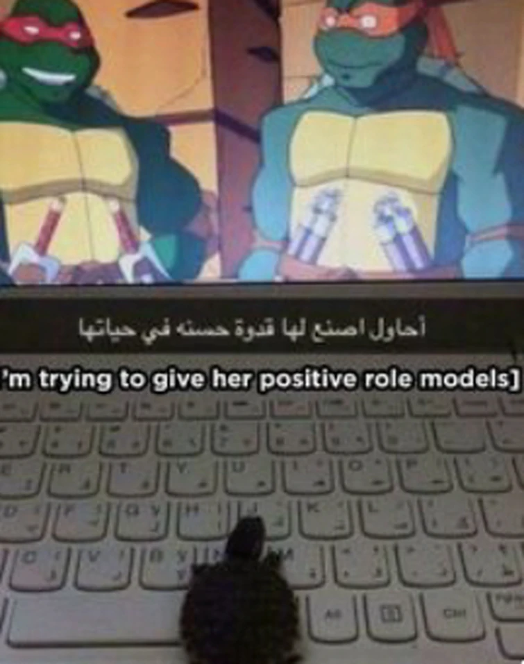 TMNT Meme Of The Day | Fandom