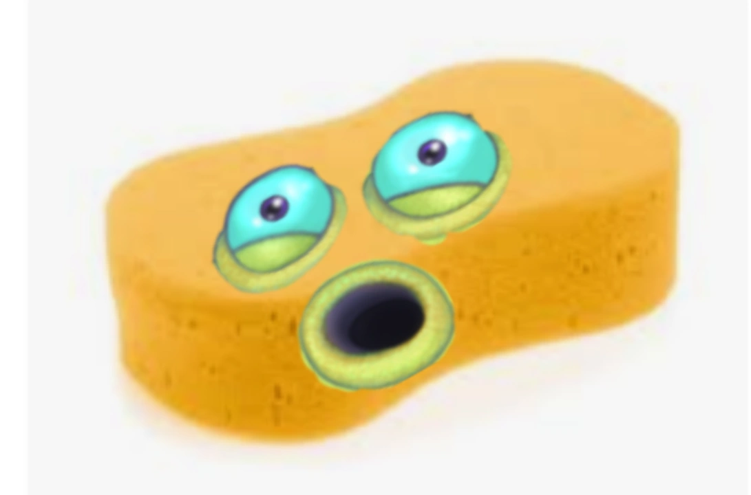 Sponge | Fandom