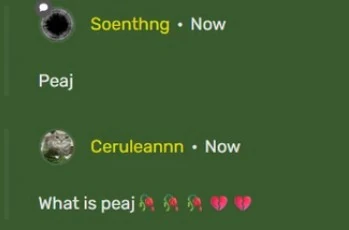 Peaj ️‍🩹 | Fandom