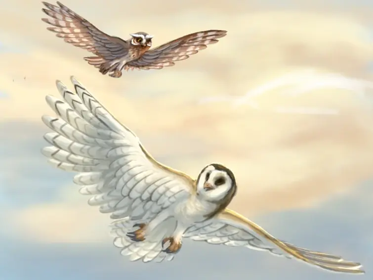 Fanart of Coryn, Nyra, Soren and Gylfie that I drew today | Fandom