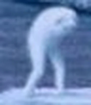 Which is the best Fresno Nightcrawler-like creature? | Fandom