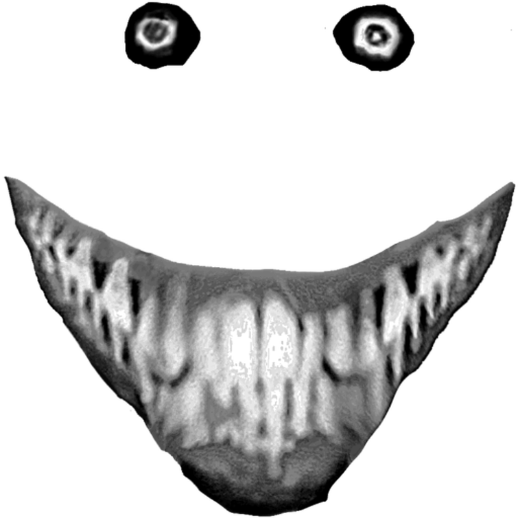 free templates | Fandom