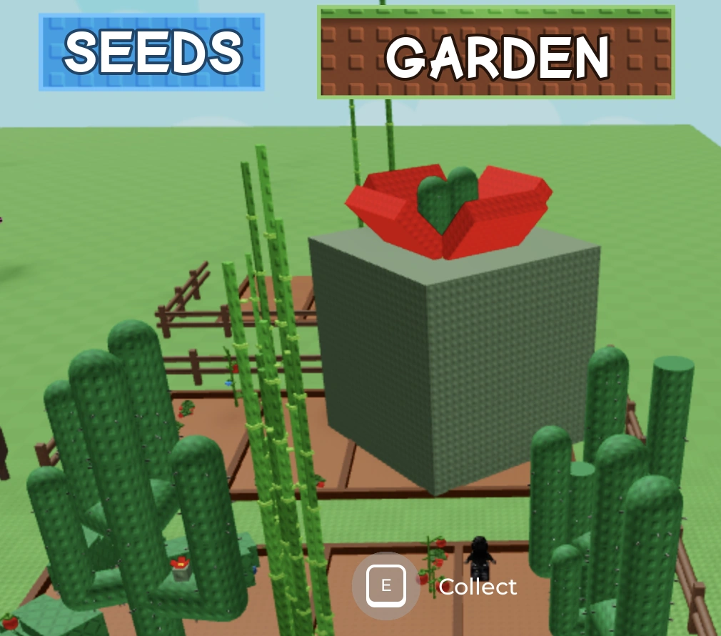 I got this big cactus plant and I was shocked by the size 😭 | Fandom