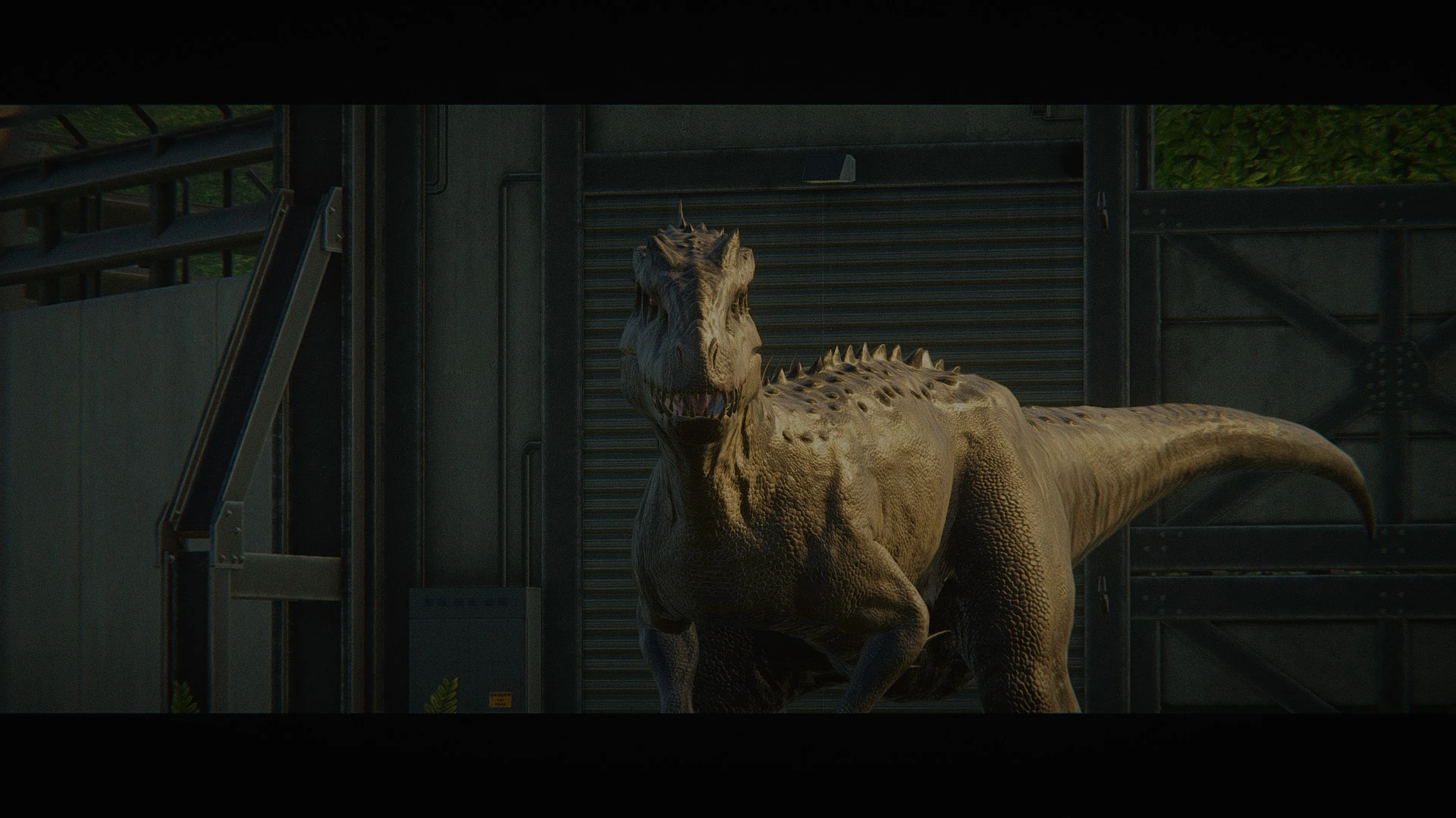 My second indominus rex Bull she was born in battle arena | Fandom