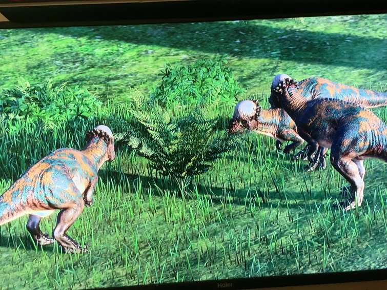 Pachy family | Fandom