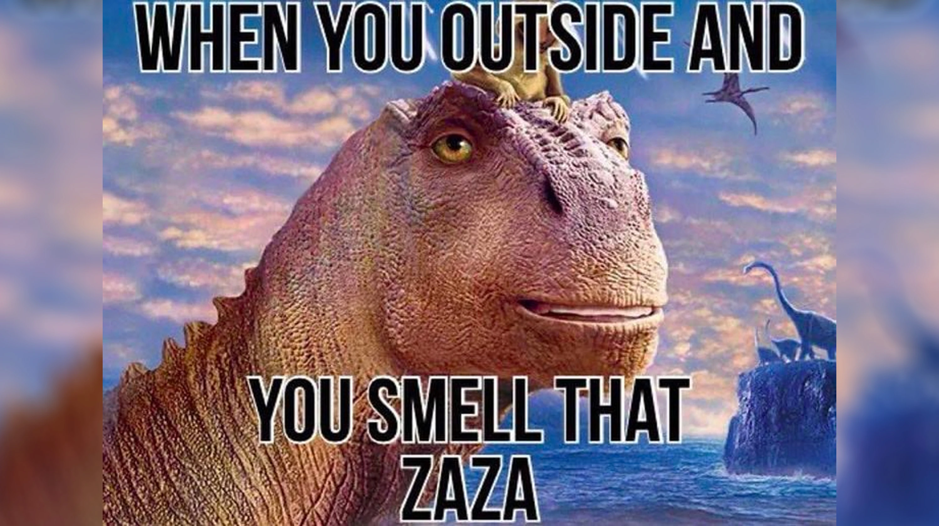 Zaza ️ ️🌿 | Fandom