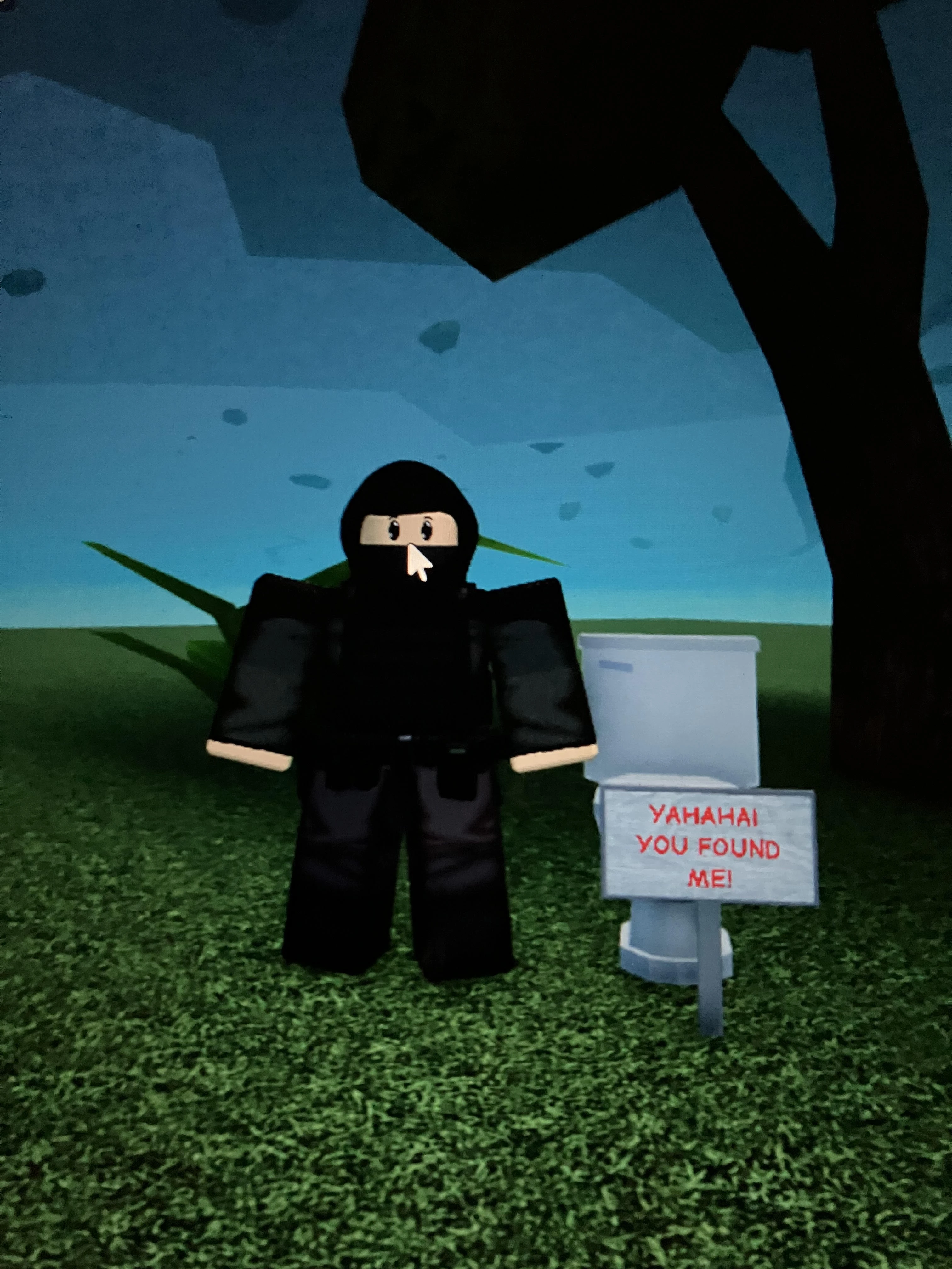 Secret toilet??? | Fandom