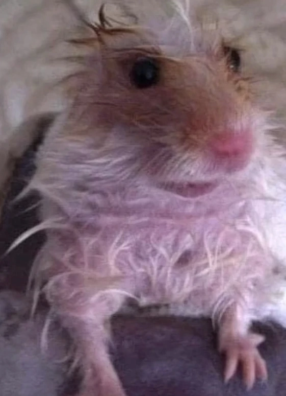 Waaaaaaaaaaah 😔😔😔 | Fandom