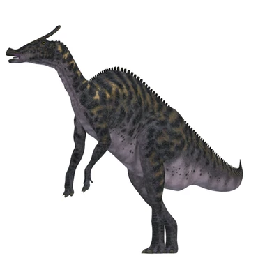 Discuss Everything About Dinopedia | Fandom