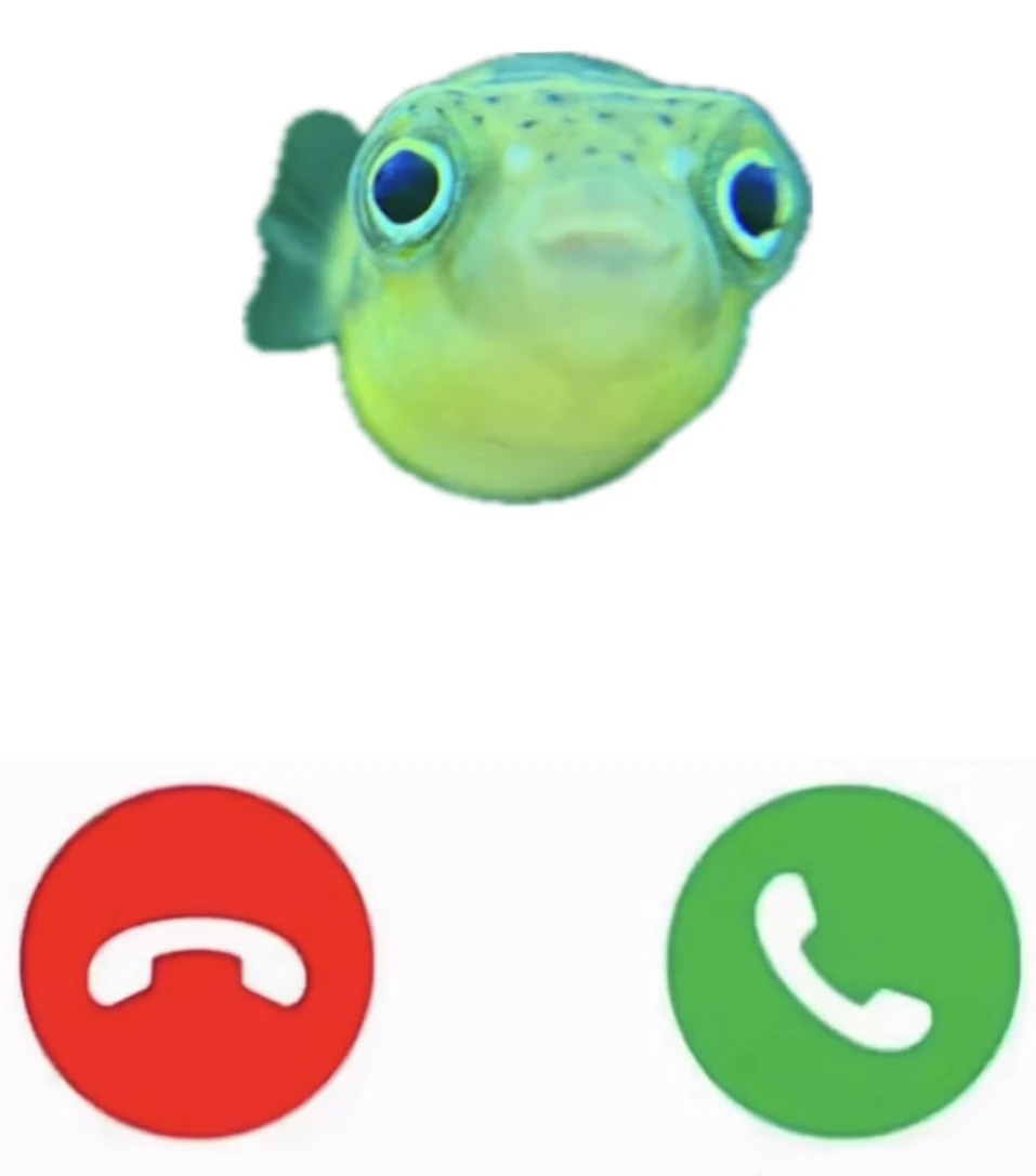Someone is calling you 🐡 | Fandom