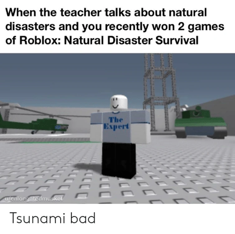 Discuss Everything About Natural Disaster Survival Wiki | Fandom