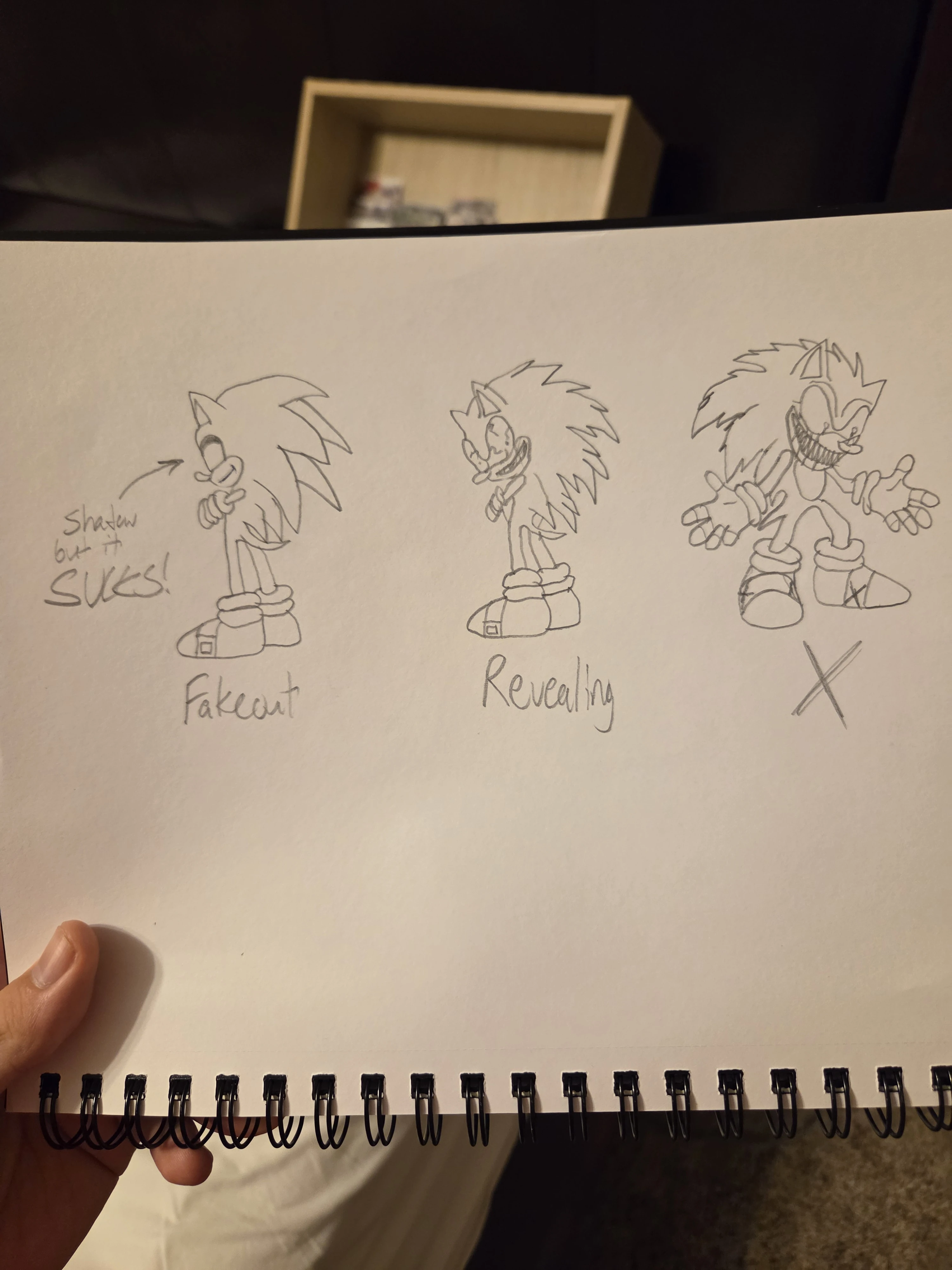 Drew this up ig | Fandom