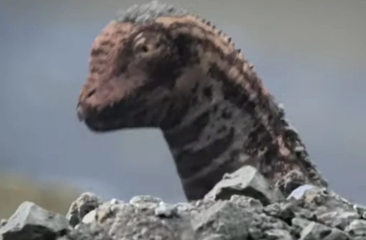 Something interesting I noticed | Fandom