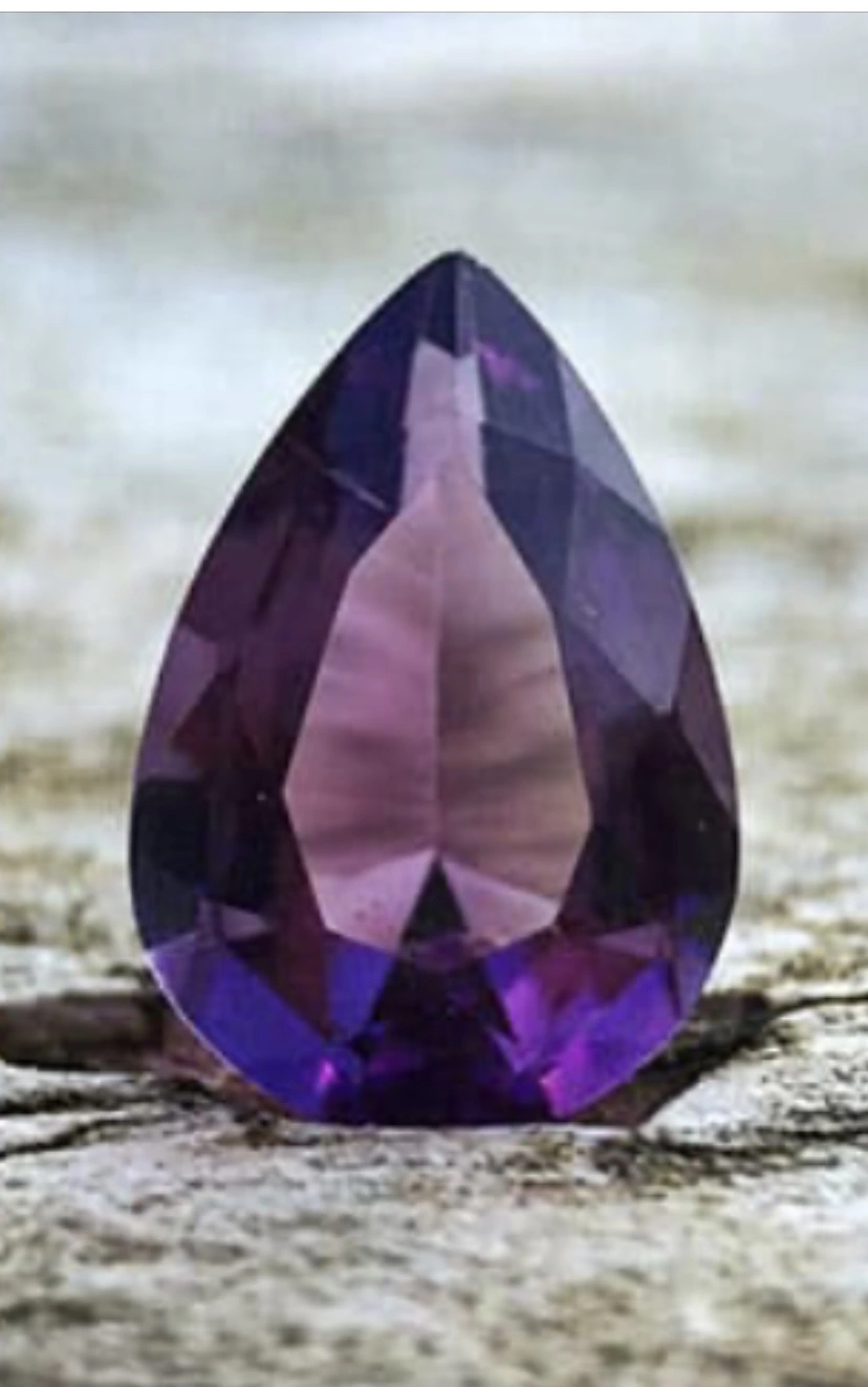 You Wield a Special “Magic Seed”, what can you do with it? | Fandom