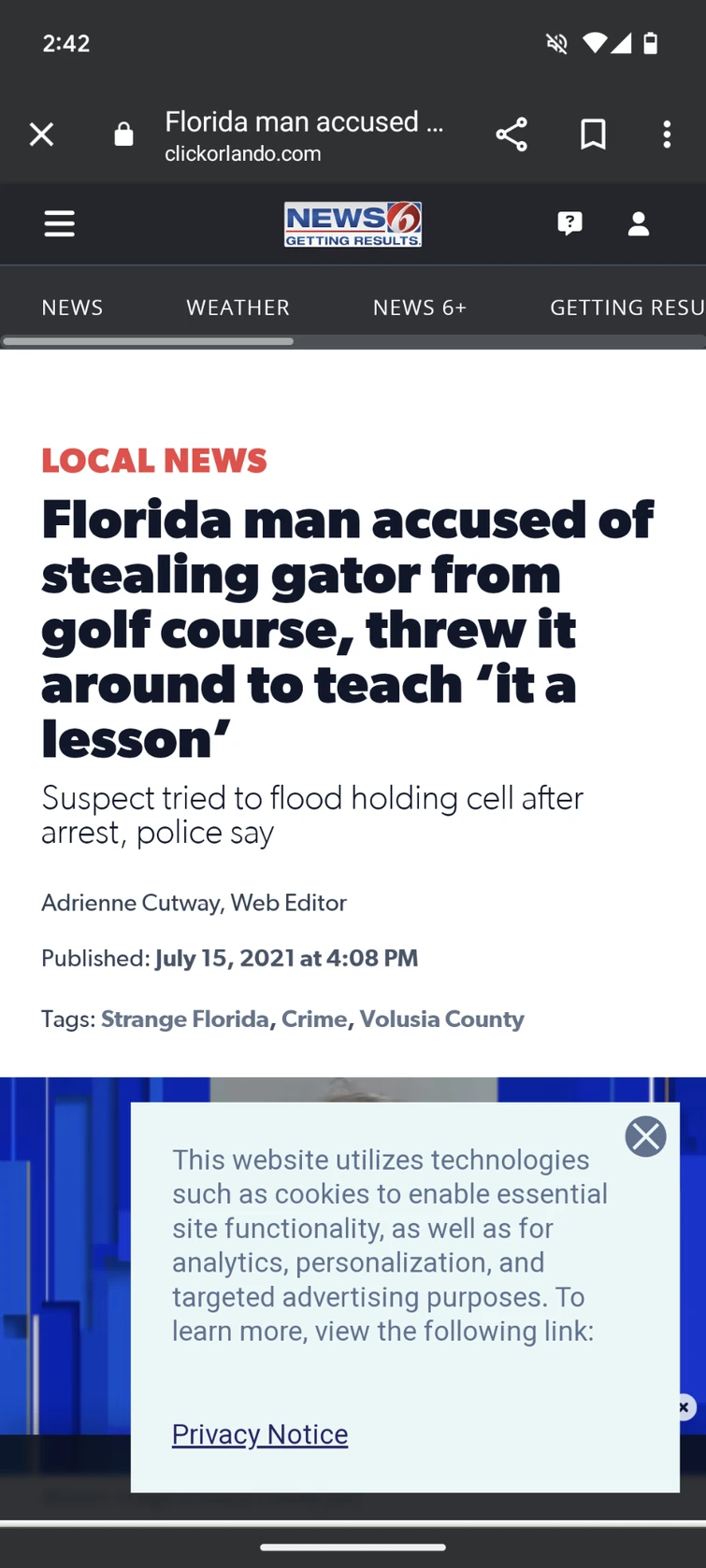 NOOOOOOOOOOOOOO | Fandom