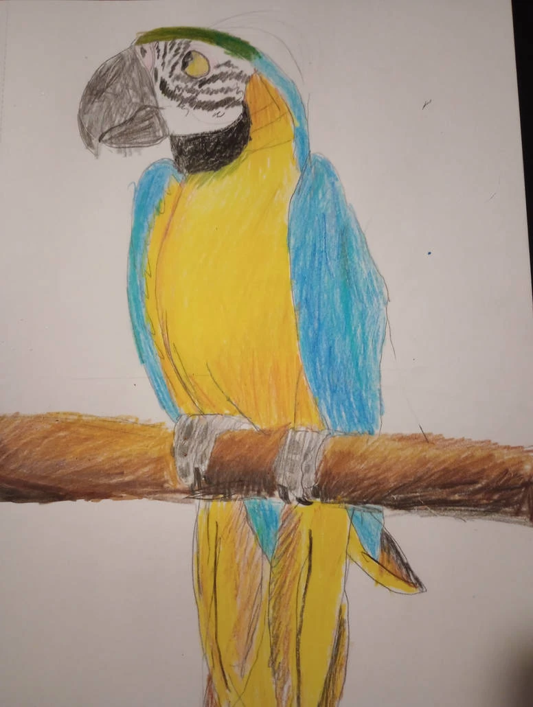 Hah get birbed | Fandom