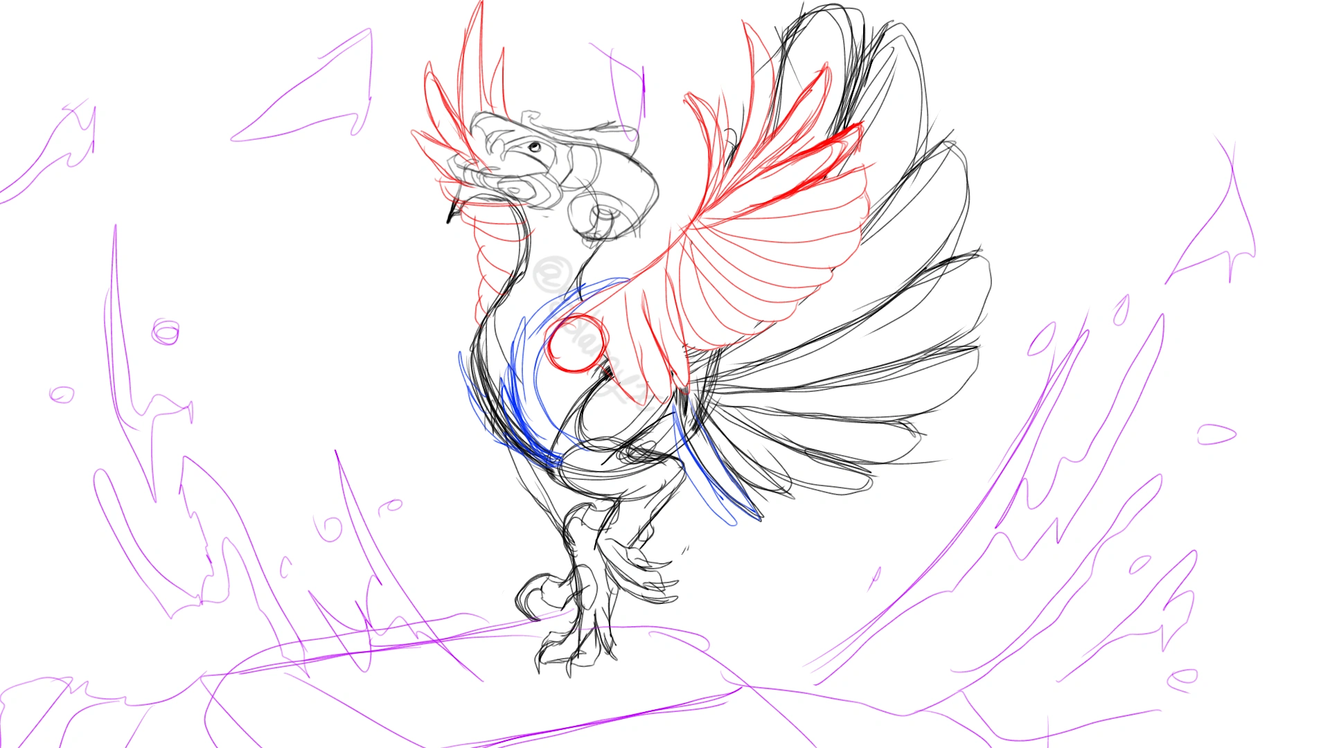 turkey turkey | Fandom