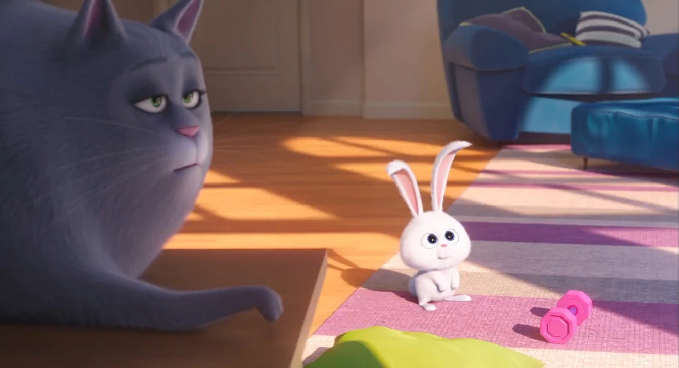 "Excuse me, Rabbit, Cat" | Fandom