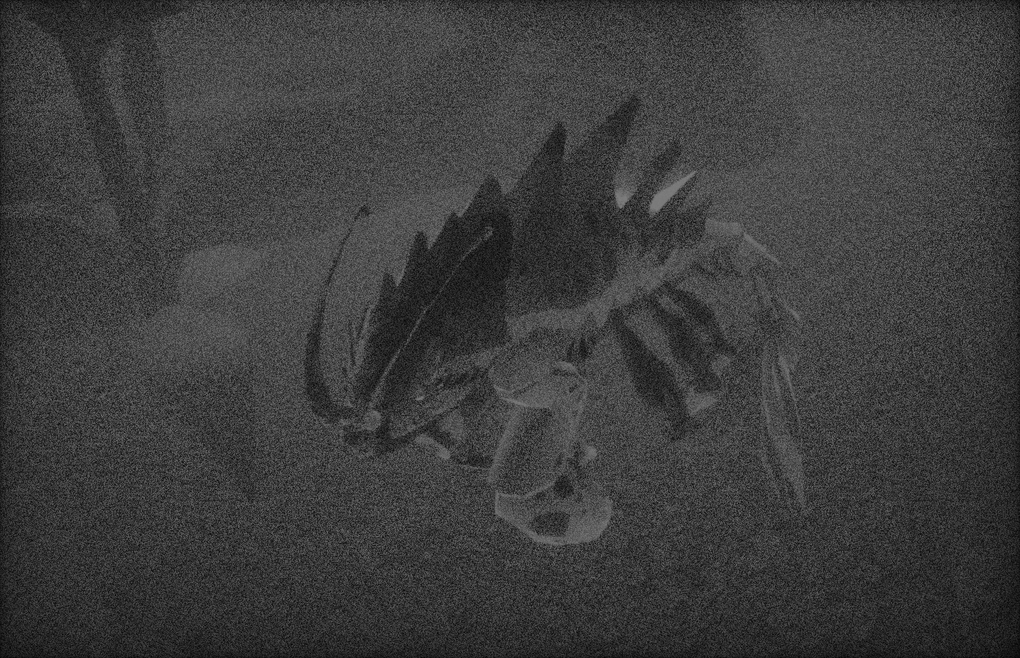 Subspecies: Olarngarian Arachyu | Fandom