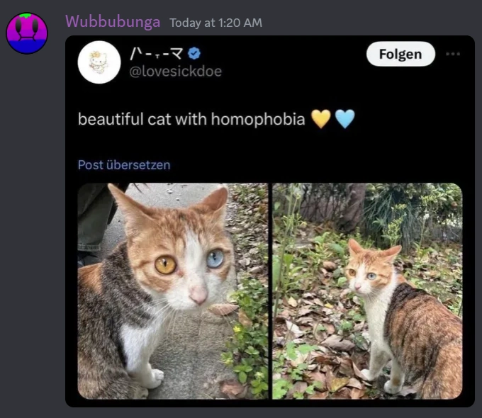 hello chat, have some shitposts | Fandom