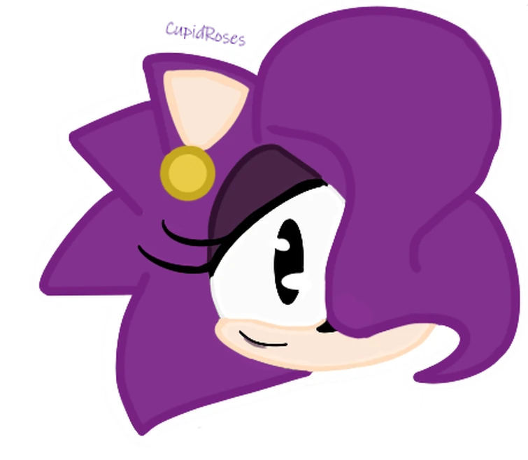 Discuss Everything About Sonic Wiki Zone | Fandom