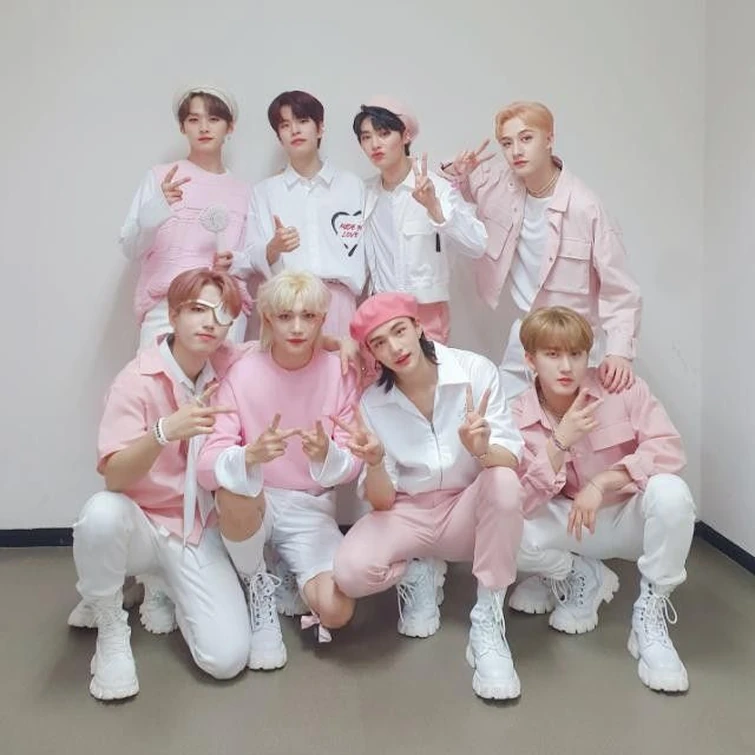 Your daily dose of Stray Kids #1 | Fandom