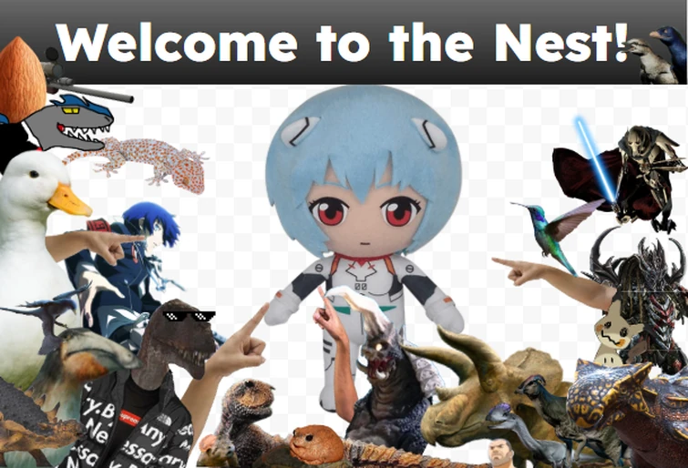 The Nest (Off-Topic Thread) | Fandom