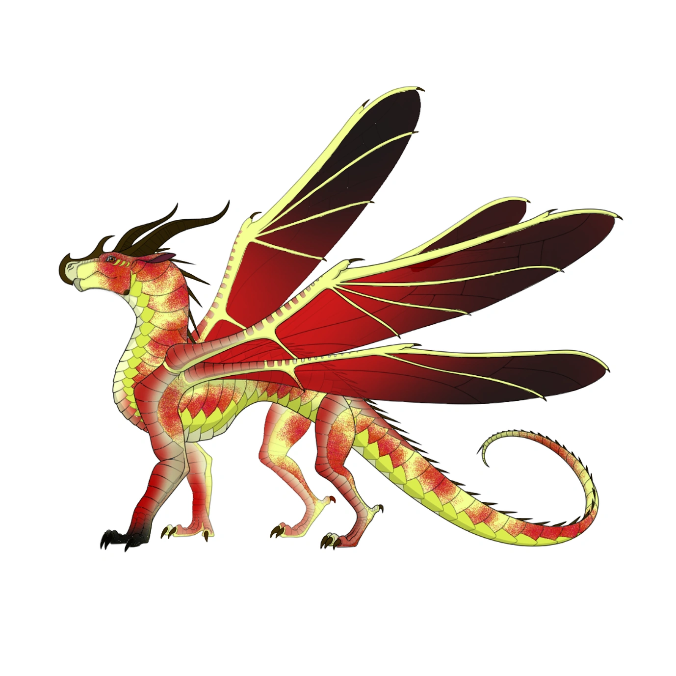 HiveWing name to adopt...and something else | Fandom