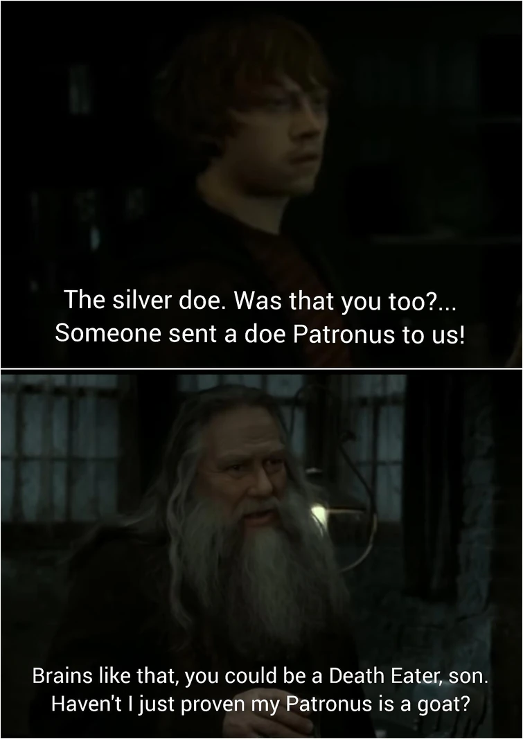 Discuss Everything About Harry Potter Wiki | Fandom