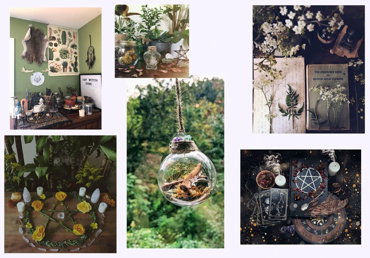 Discuss Everything About Aesthetics Wiki | Fandom