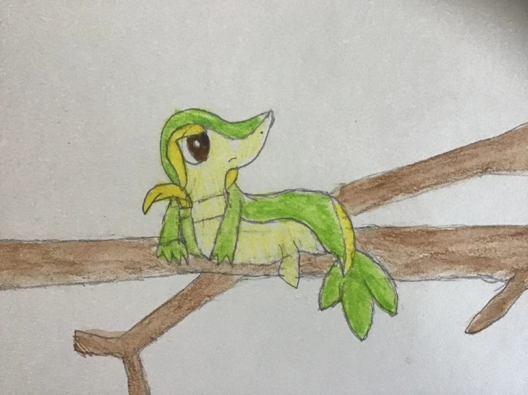 Snivy drawing | Fandom
